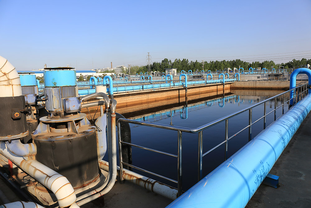 Services – Campos EPC